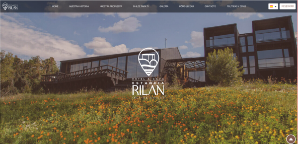 Curriculum Vitae | Alfonso Guzmán